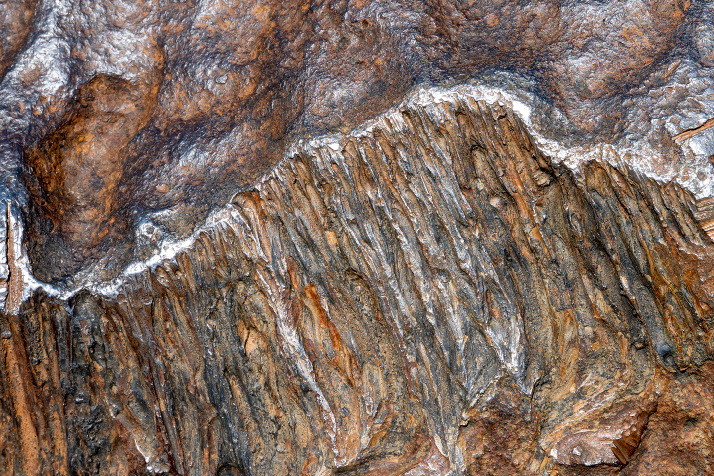 Grootfontein, Namibia - Polarsteps