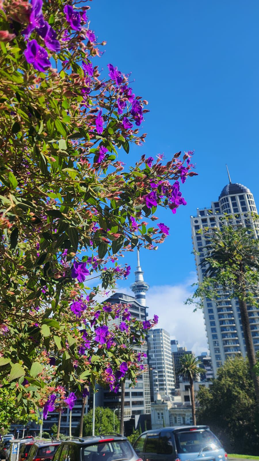 Mount Roskill, New Zealand - Polarsteps