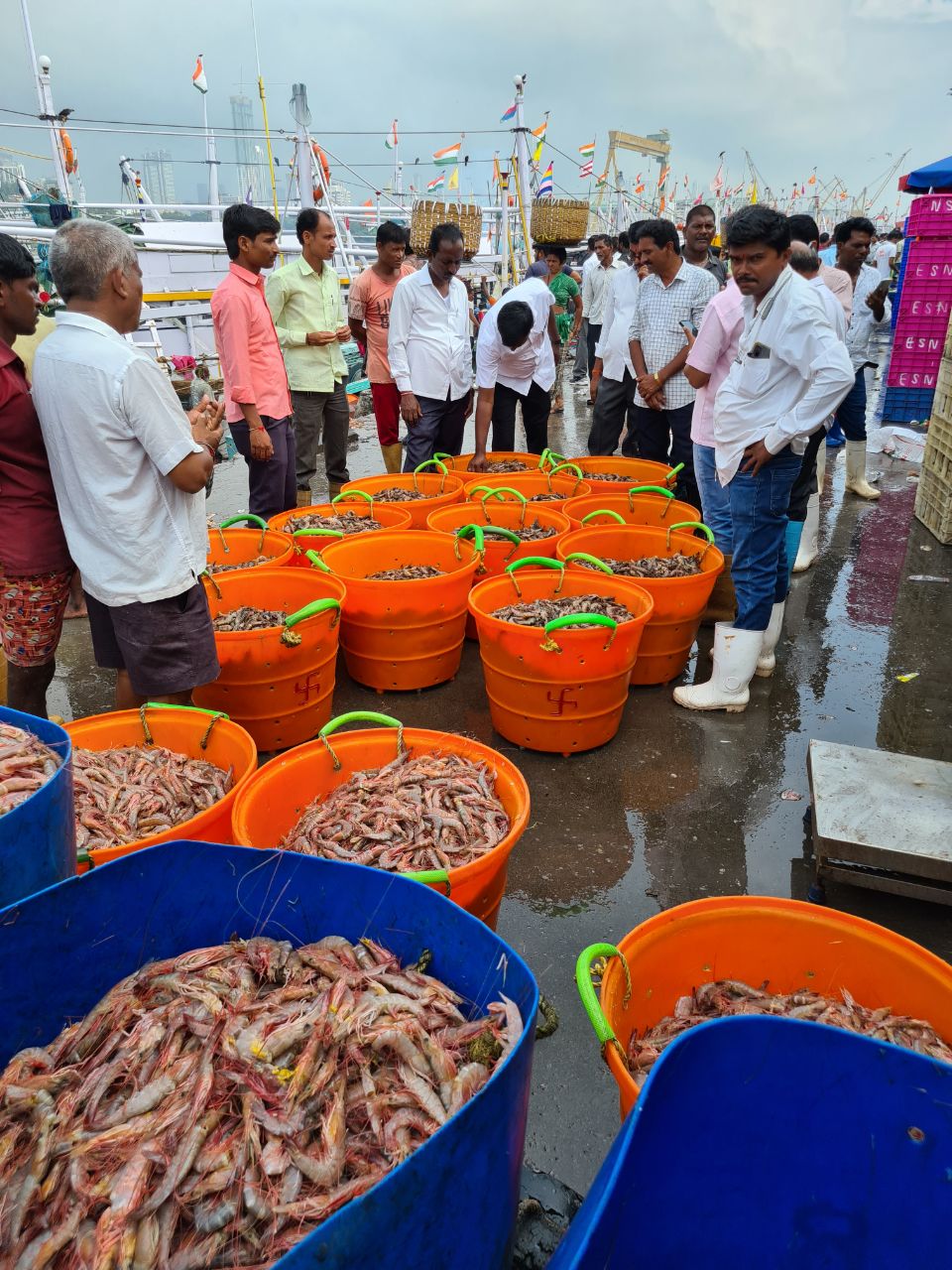 Rewas, India - Polarsteps