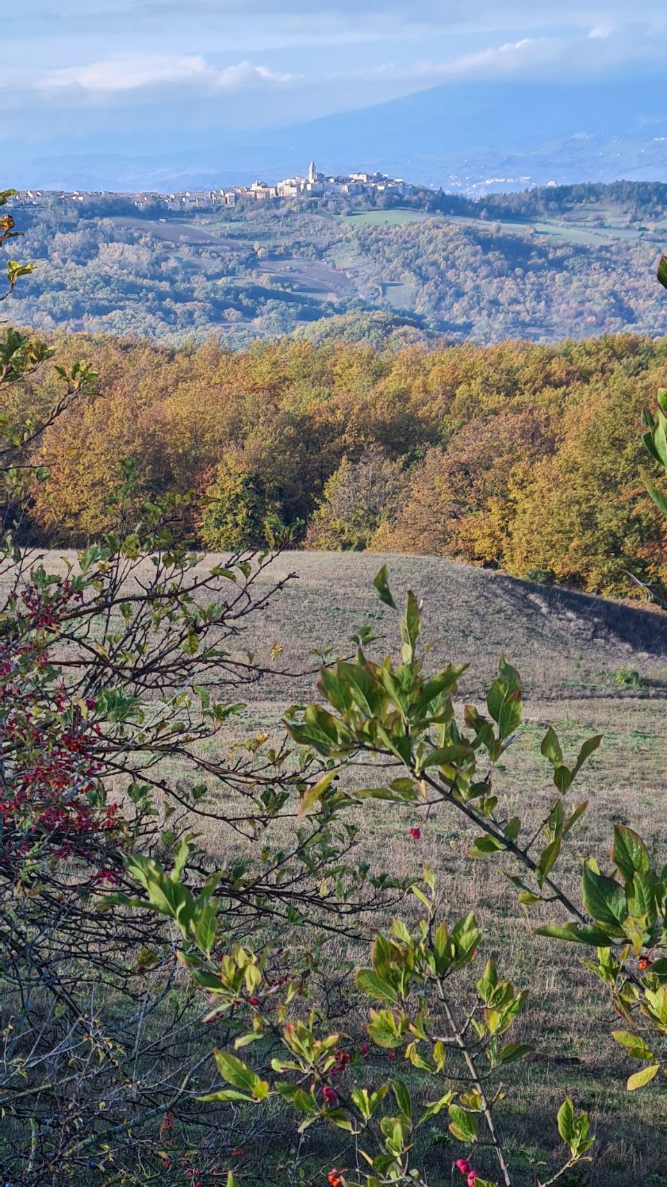 Montagano, Italy - Polarsteps