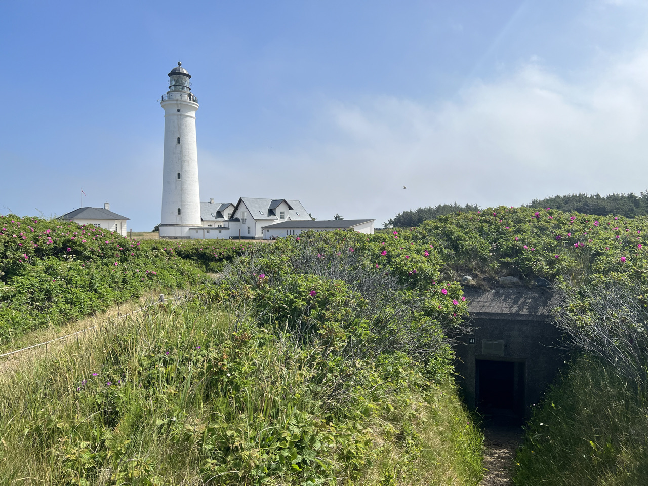 Hjorring, Denmark - Polarsteps