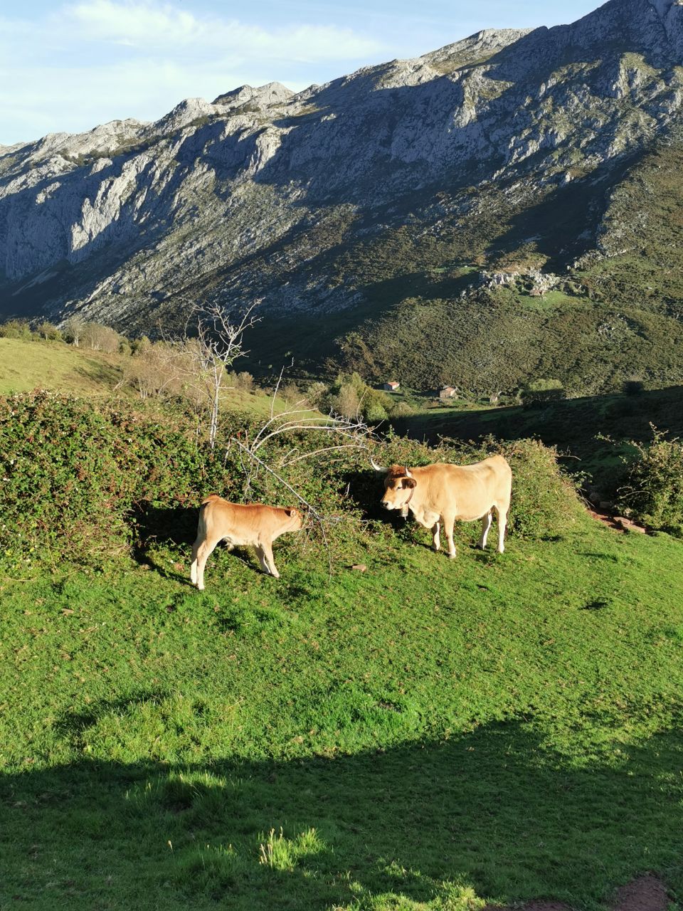 Cabrales, Spain - Polarsteps