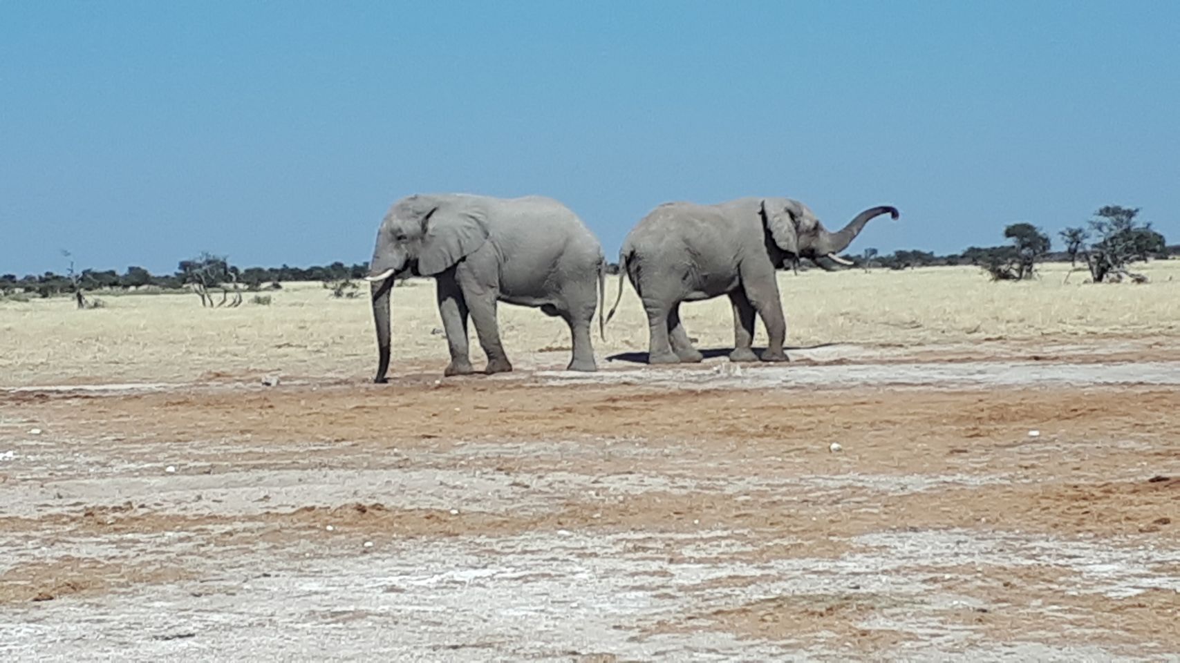 Molose Campsite KHMOS 02, Botswana - Polarsteps
