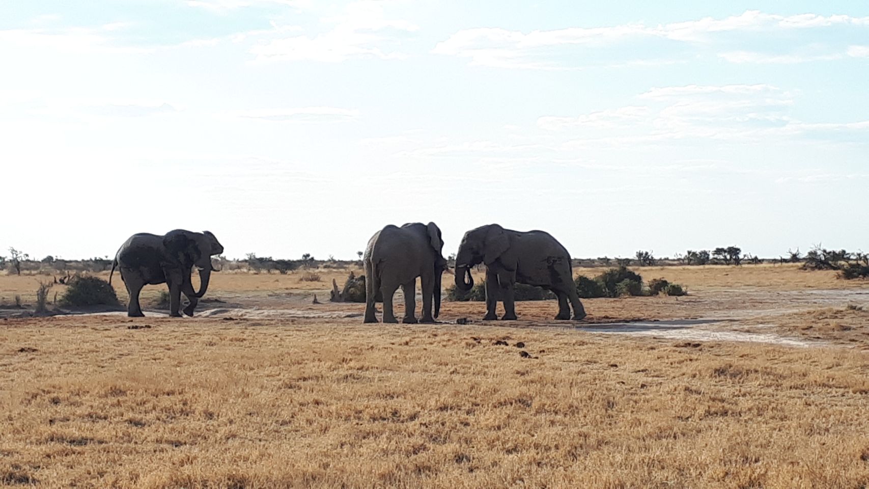 Molose Campsite KHMOS 02, Botswana - Polarsteps
