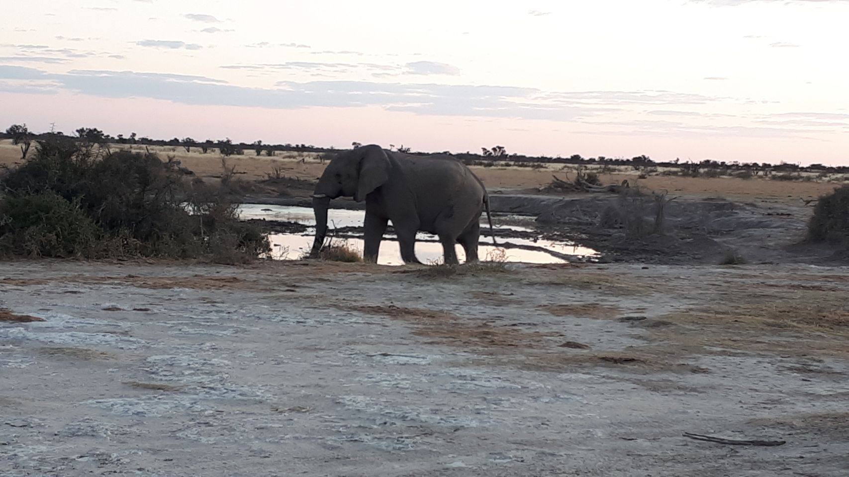 Molose Campsite KHMOS 02, Botswana - Polarsteps