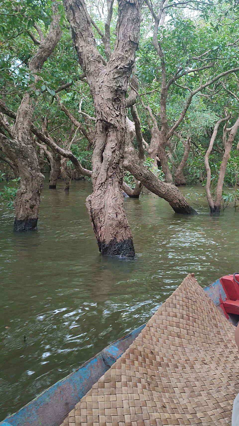 Prasat Bakong District, Cambodia - Polarsteps