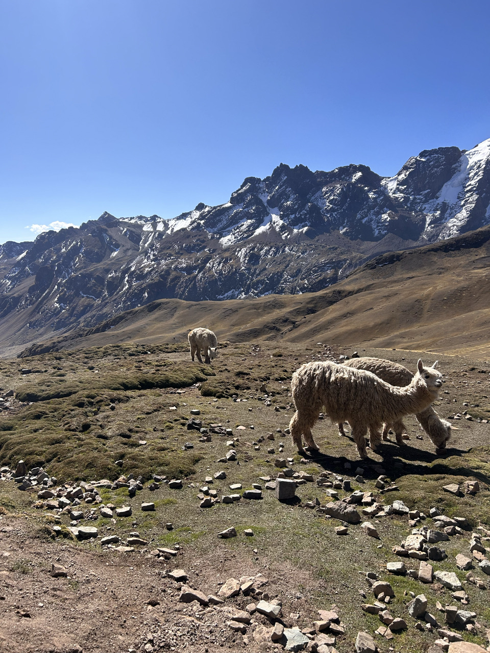 Quispicanchi, Peru - Polarsteps