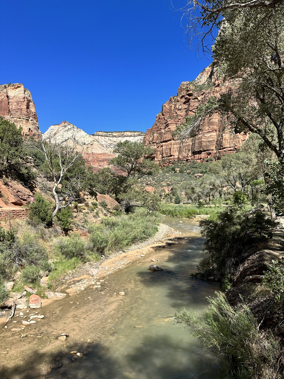 Springdale, USA - Polarsteps