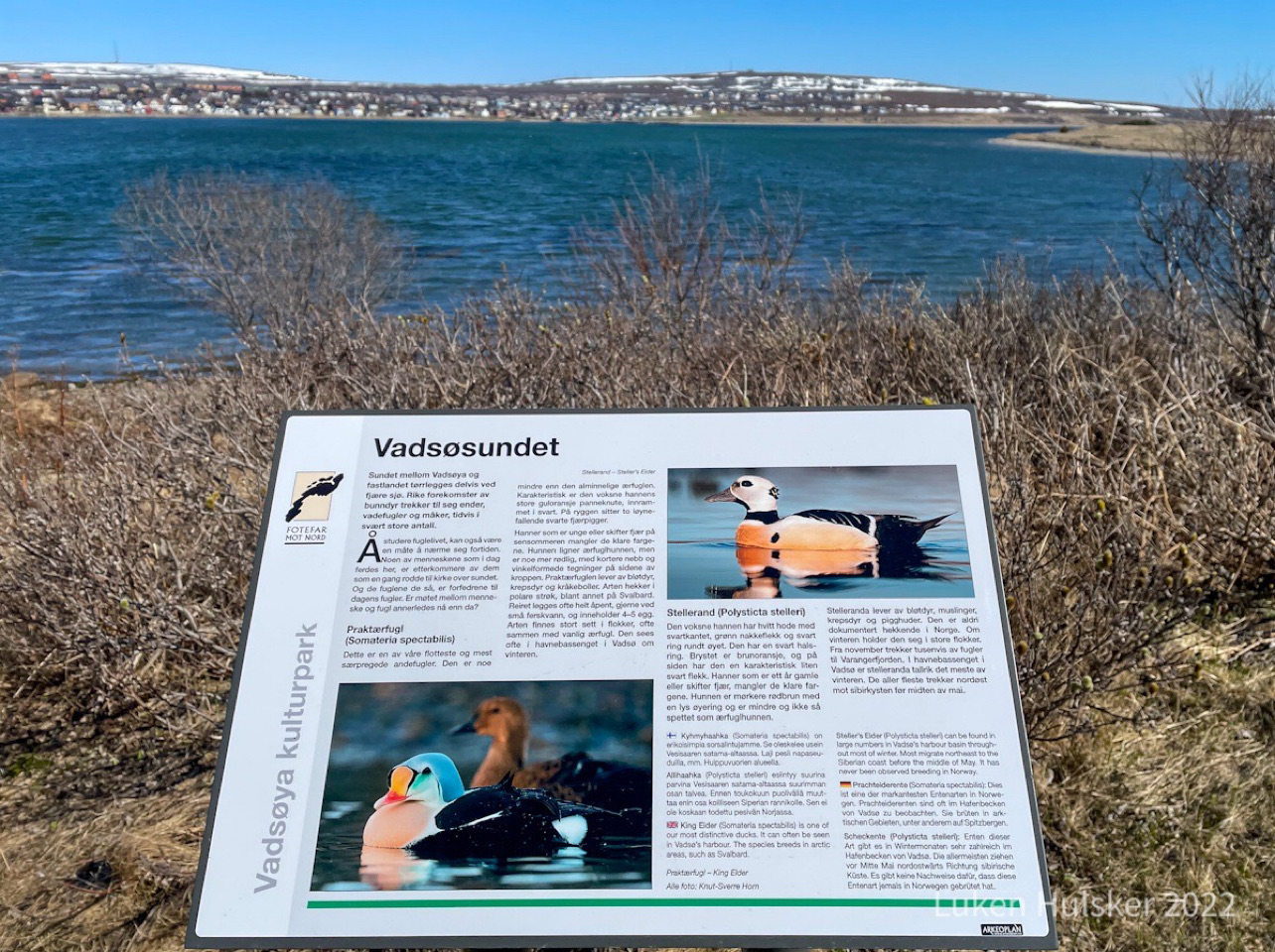 Vadso, Norway - Polarsteps