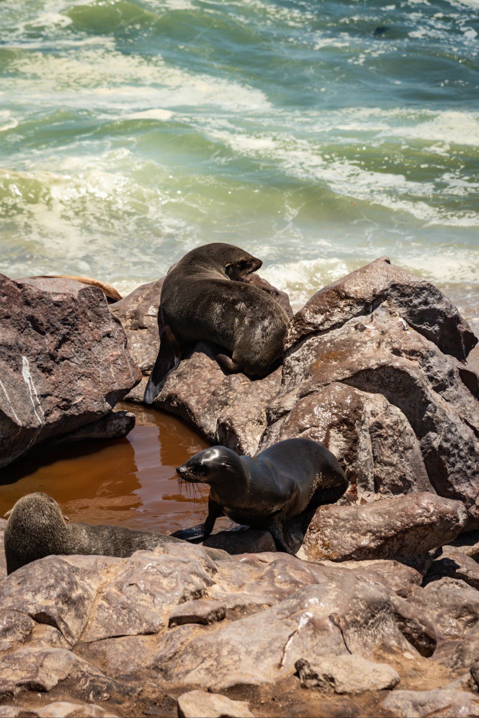 Daures, Namibia - Polarsteps