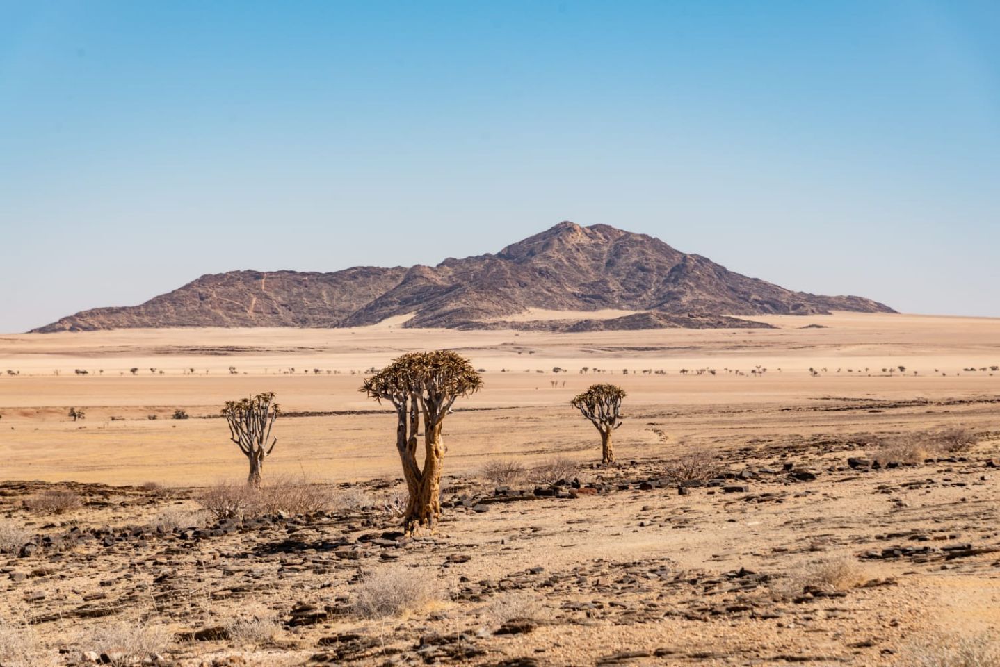 Erongo Region, Namibia - Polarsteps