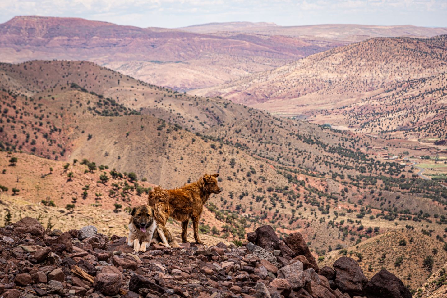 Zerkten, Morocco - Polarsteps