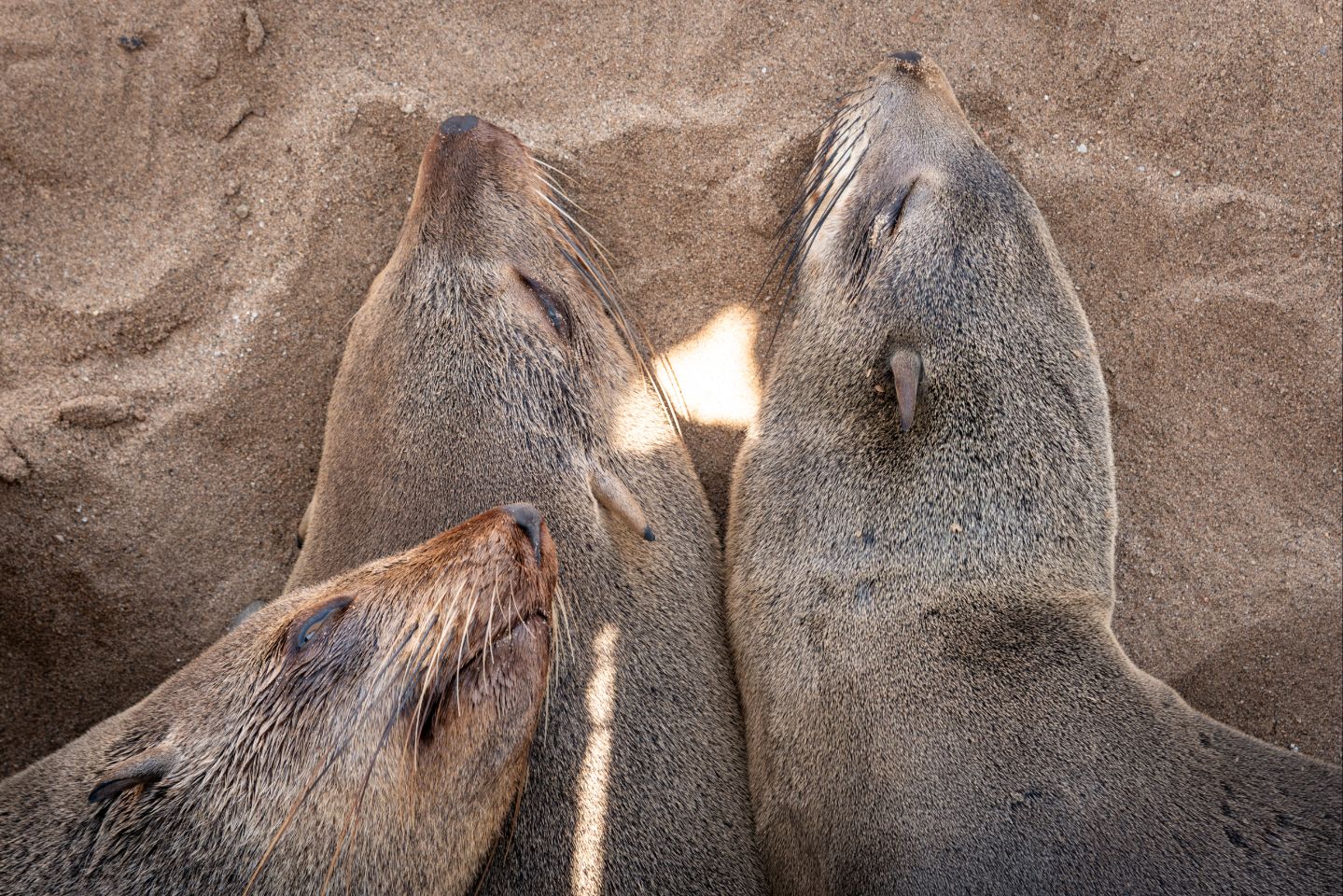 Daures, Namibia - Polarsteps