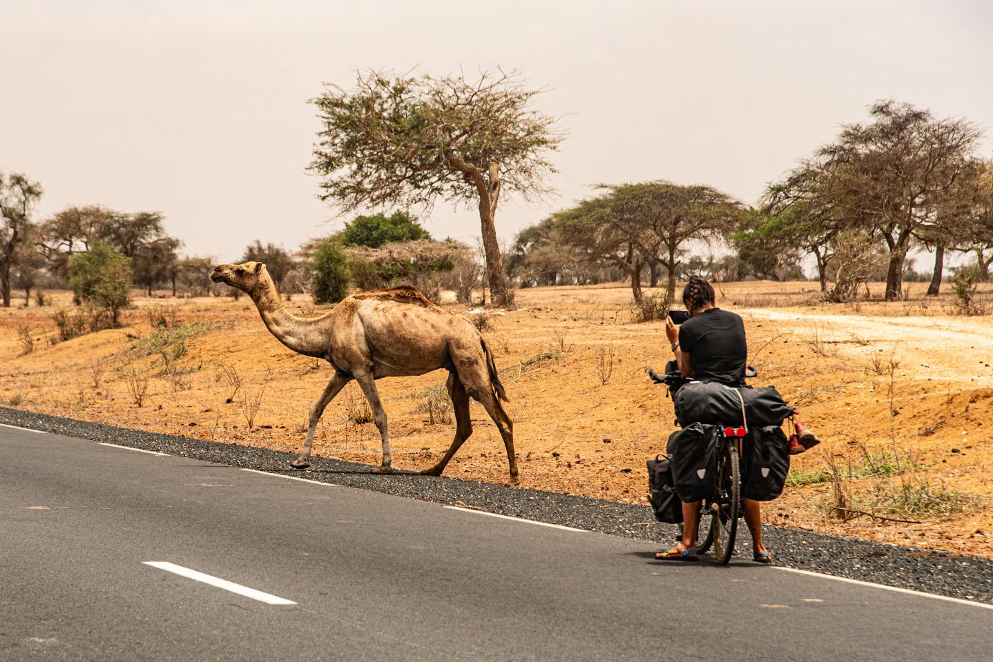 Kébémer, Senegal - Polarsteps