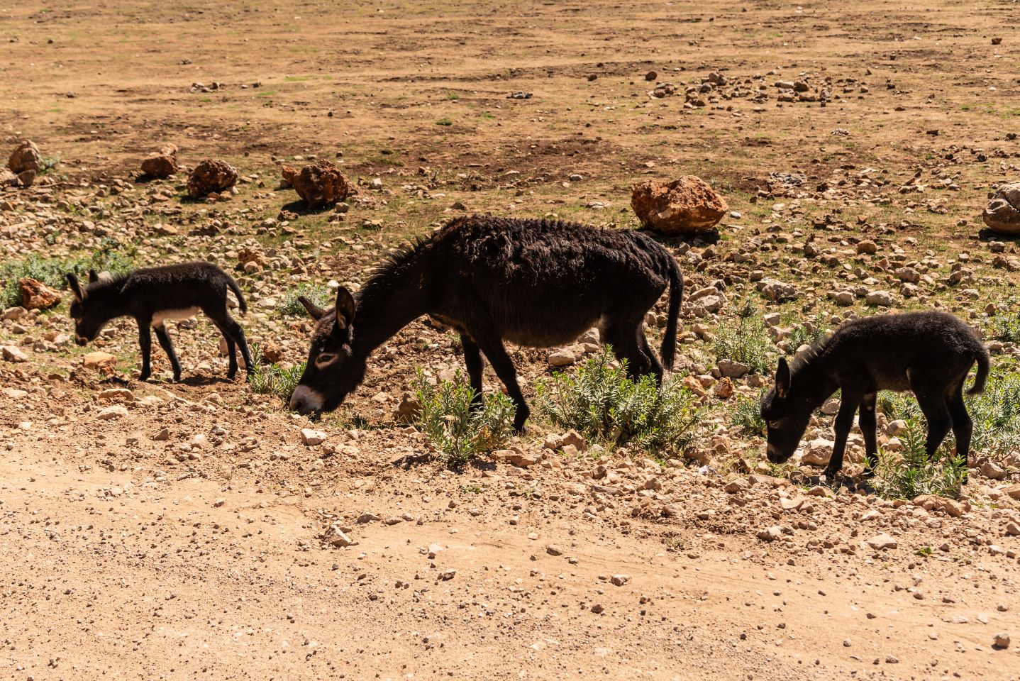 Aguelmam Azegza, Morocco - Polarsteps