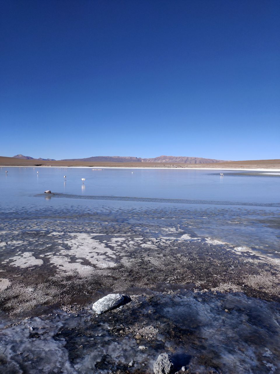 Municipio San Pablo de Lipez, Bolivia - Polarsteps
