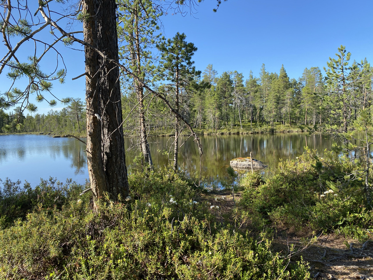 Inari, Finland - Polarsteps