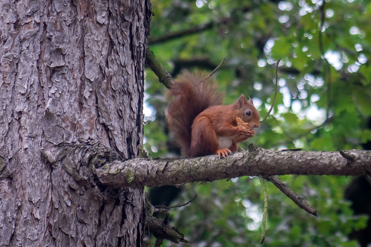 Lotte, Germany - Polarsteps