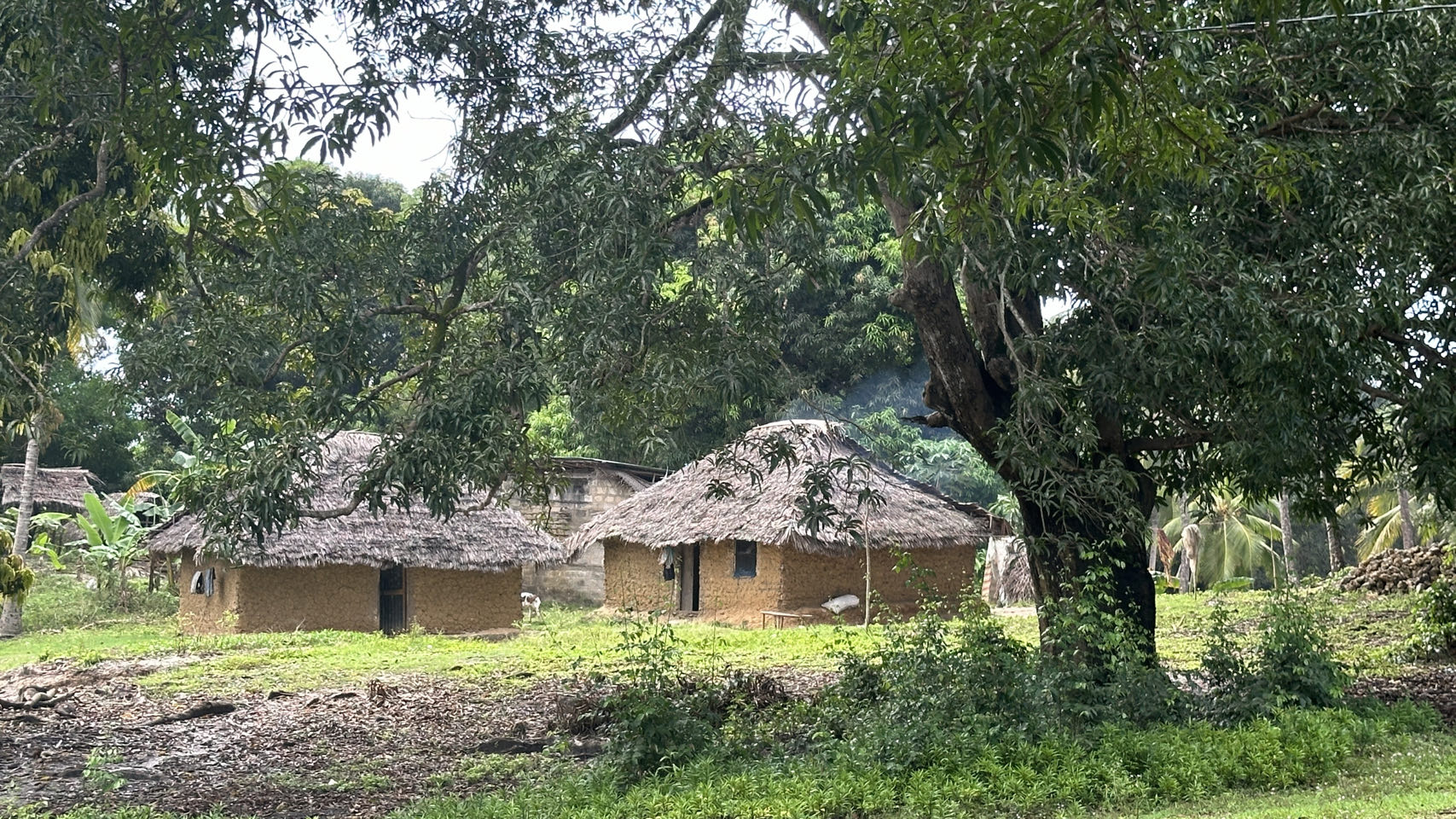 Wete, Tanzania - Polarsteps