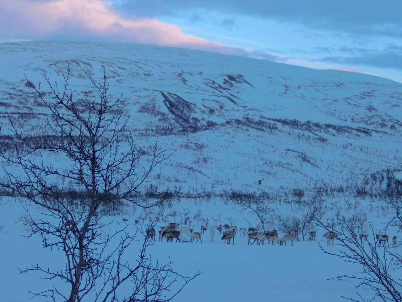 Saltdal, Norway - Polarsteps